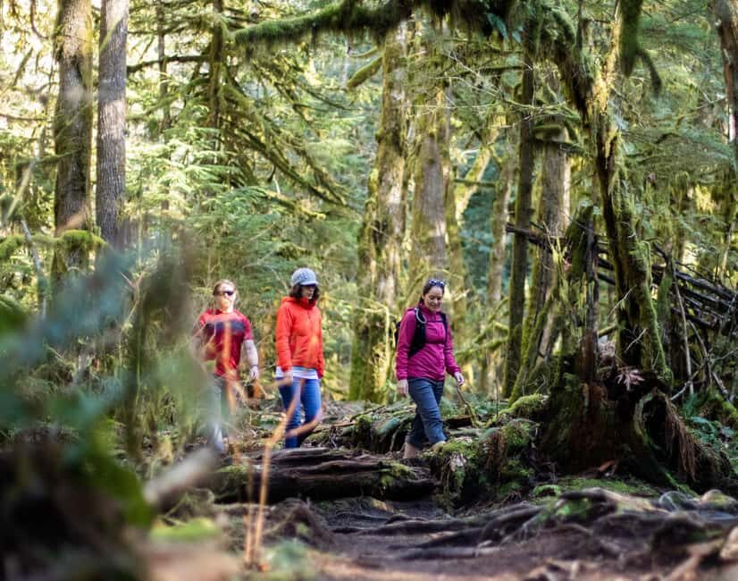 Squamish: Stawamus Chief Guided Hike - The Descent: A Different Perspective
