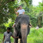 Sri Lanka 10-Day Cultural Triangle Tour+5 Star Accommodation - The Value of This Tour for Different Travelers