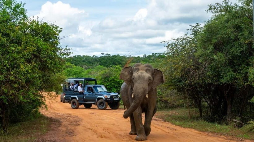 Sri Lanka: 10-Day Private Tour with 4*, Half-Board Hotels - What Does It All Mean for Travelers?