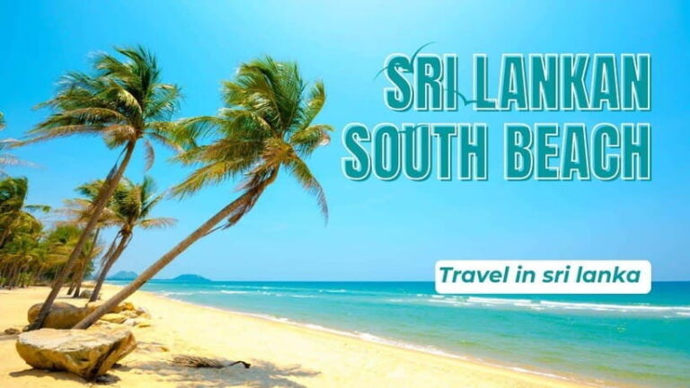 "Sri Lanka 2-Day Tour: Explore Hikkaduwa, Galle & Yala" - The Night in Tissamaharamaya