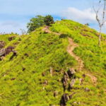 Sri Lanka: 6-Day Luxury Honeymoon Tour - What Sets This Tour Apart?