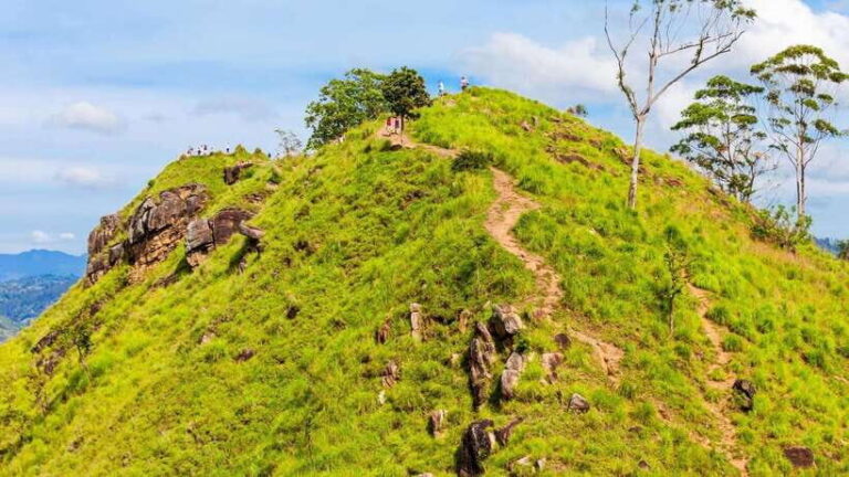 Sri Lanka: 6-Day Luxury Honeymoon Tour - What Sets This Tour Apart?