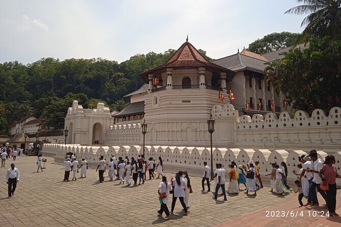 Sri Lanka 8 days Tours with Privet Vehicle & Accommodations (B/B) - Who Is This Tour Best For?