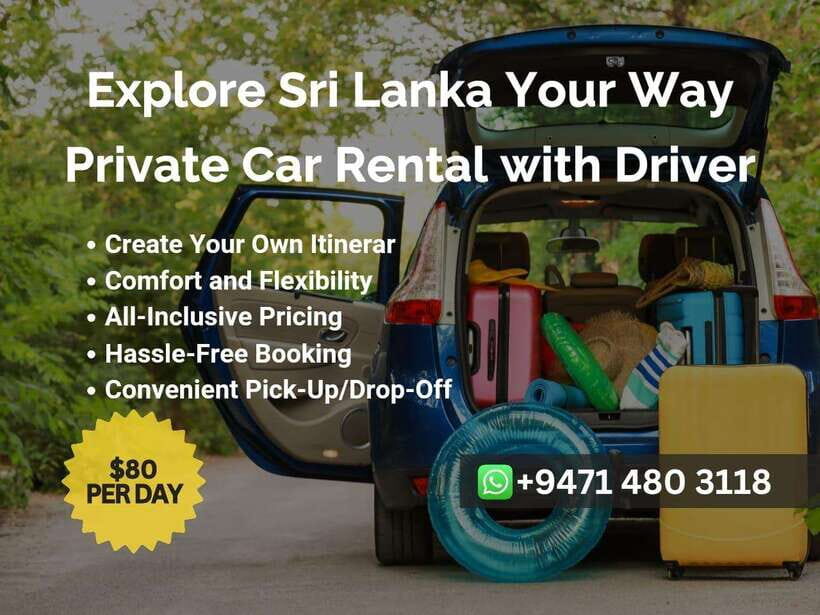 Sri Lanka Car Rental with Driver - 3 Days Minimum, 180km/Day - What Makes This Experience Stand Out?