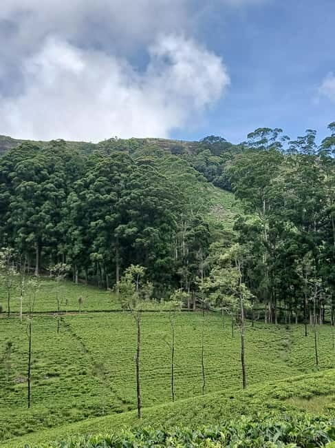 Sri Lanka: Central Province Motorbike Tour as Passenger - What’s Included and How It Works