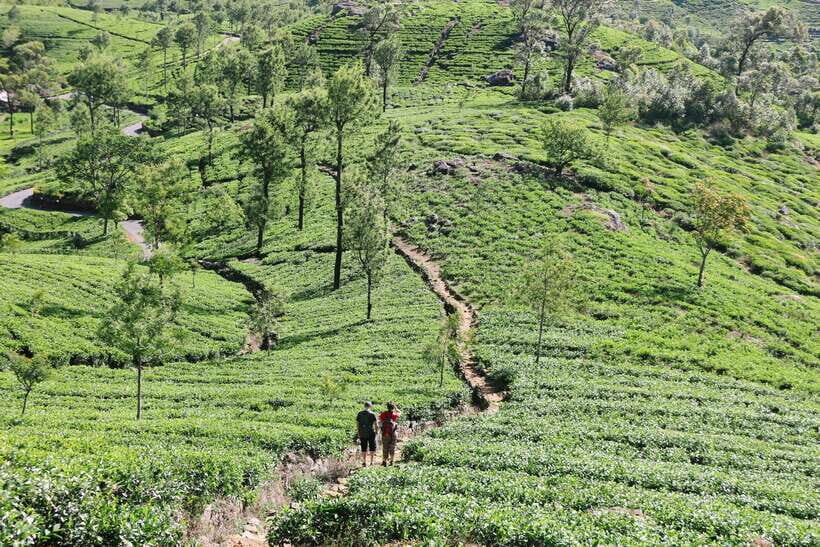 Sri Lanka Compact Highlight 5-Day Tour Sigiriya, Kandy, Ella - Exploring the First Day: Colombo to Sigiriya