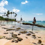 Sri Lanka Green Bless- 2-day Private Trip To Enjoy Nature - Practical Tips for Future Travelers