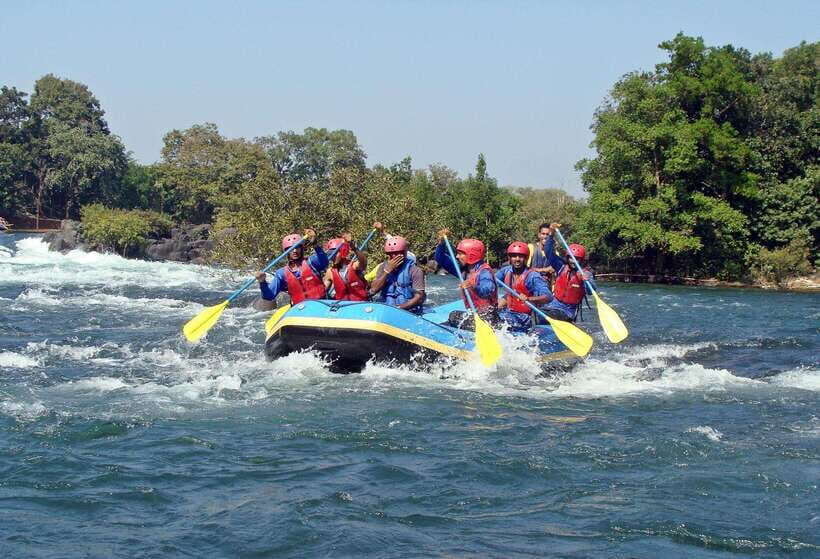 Sri Lanka jungle tour 4 days-rainforests, national parks... - The Itinerary: An In-Depth Look