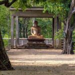 Sri Lanka Multi Day Car Hire with English Speaking Driver-Guide - Who Is This Tour Best For?