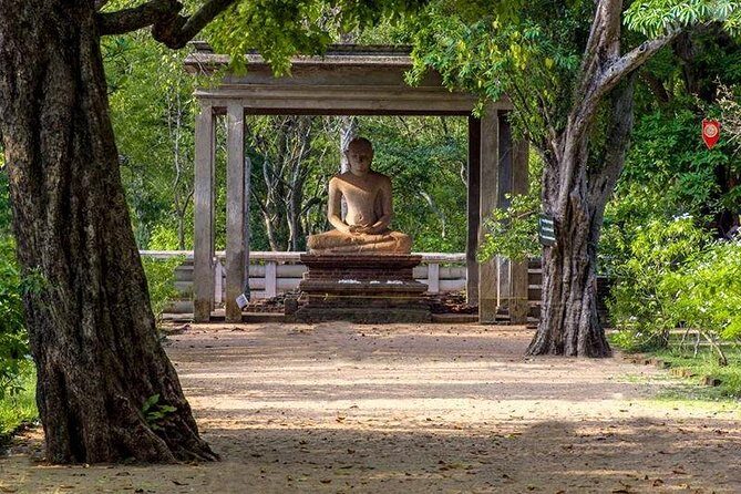 Sri Lanka Multi Day Car Hire with English Speaking Driver-Guide - Who Is This Tour Best For?