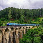 Sri Lanka Private 7-day Tour: Transport, Guide, Hotels, Food - Is It Worth the Price?