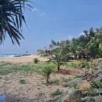 SriLanka Private Tour: 6Days 5Nights Adventure, Culture&more - What Travelers Say