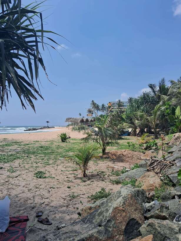 SriLanka Private Tour: 6Days 5Nights Adventure, Culture&more - What Travelers Say