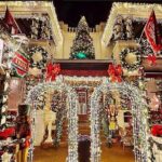St Augustine Nights of Lights Tour on Premium Electric Cart - A Closer Look at the Night of Lights Electric Cart Experience