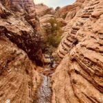 St. George: Jeep Exploration Slot Canyon & Rock Formations - The Value of the Experience
