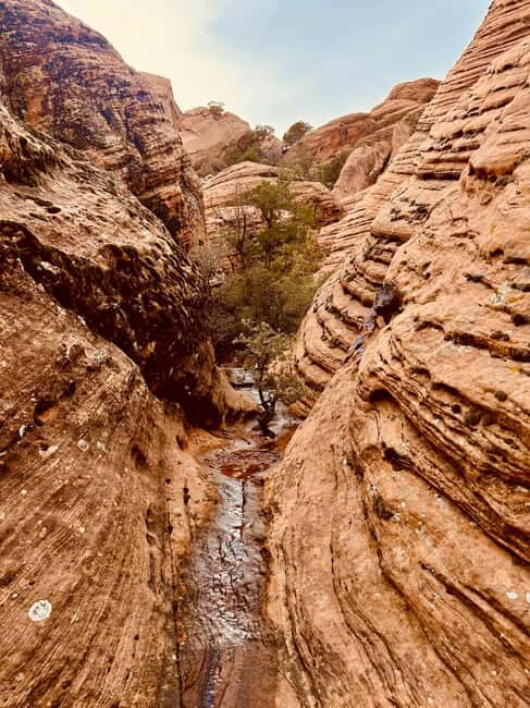 St. George: Jeep Exploration Slot Canyon & Rock Formations - The Value of the Experience