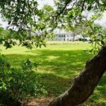 St. Joseph Plantation Tour - The Itinerary Breakdown
