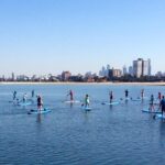 St Kilda SUP Rental - The Wildlife and Scenic Highlights