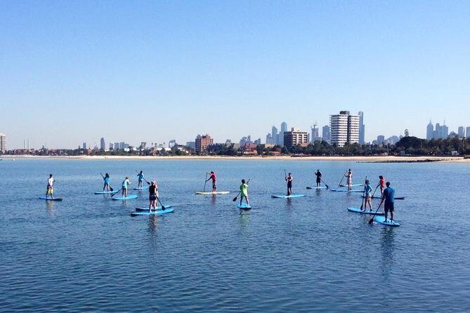 St Kilda SUP Rental - The Wildlife and Scenic Highlights