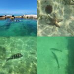 St Pete Beach: Private Boat tour for watersports snorkeling - Why This Tour Stands Out