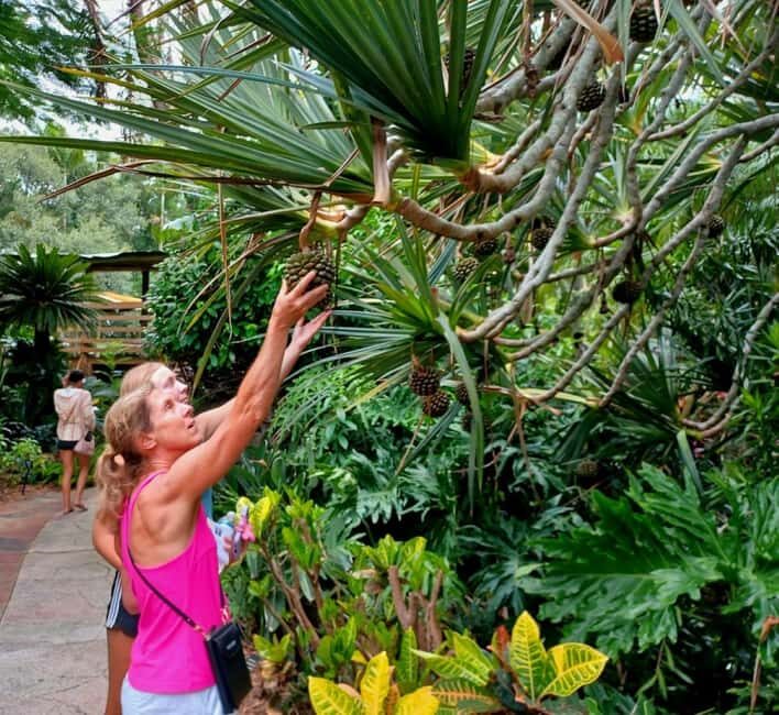 St. Petersburg: Eco Segway Tour with Sunken Gardens - The Detailed Itinerary
