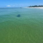 St. Petersburg, FL: Private 5-Hour Egmont Key Boat Tour - What’s Included & How It Enhances the Experience