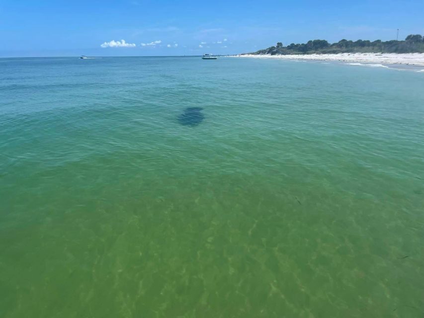 St. Petersburg, FL: Private 5-Hour Egmont Key Boat Tour - What’s Included & How It Enhances the Experience