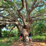St. Petersburg: Lake Maggiore Bike Tour with Guide - The Ecosystems You’ll Encounter