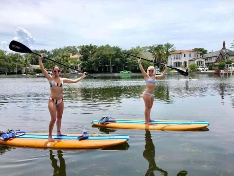 St. Petersburg: Paddle Board Tour with Wildlife Spotting - What Makes This Tour Stand Out?