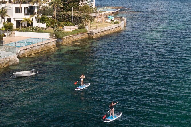 Stand Up Paddle Board Hire - 2 Hours