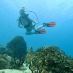 StandUp PaddleBoard Lesson and Experience Scuba Diving Package! - What Makes This Tour a Great Choice?