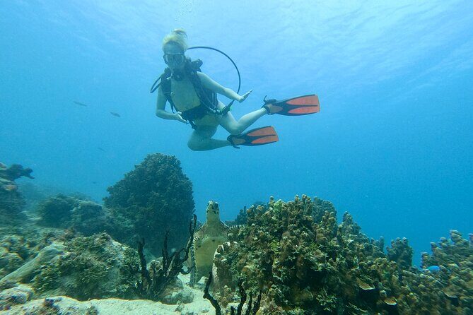 StandUp PaddleBoard Lesson and Experience Scuba Diving Package! - What Makes This Tour a Great Choice?