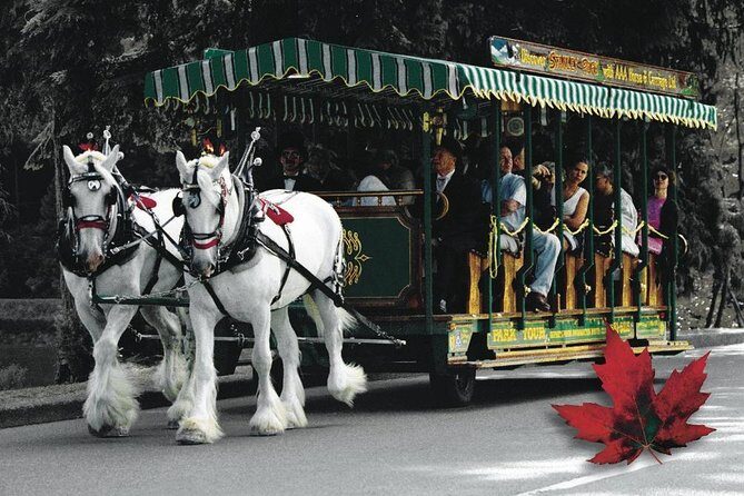 Stanley Park Horse-Drawn Tour - Final Thoughts: Why Consider the Stanley Park Horse-Drawn Tour?