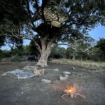 Starlit Escape: Stargazing from a tree hut in Sigiriya - Final Thoughts