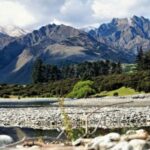 Stevensons Island 2-Hour Cruise and Nature Walk - Value for Money and Practical Tips