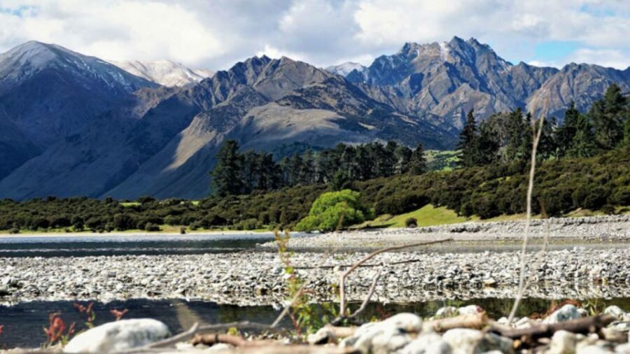 Stevensons Island 2-Hour Cruise and Nature Walk - Value for Money and Practical Tips