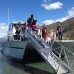 Stevensons Island Cruise and Nature Walk from Wanaka - Who Will Love This Tour?