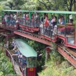 [Stevong Travel] West Coromandel Day Tour - Exploring the Itinerary: What You’ll Experience