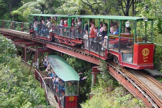 [Stevong Travel] West Coromandel Day Tour - Exploring the Itinerary: What You’ll Experience