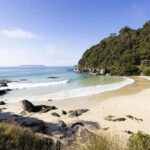 Stewart Island Guided Wilderness Walk - The Experience: What Makes It Special