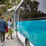 Stewart Island: Village and Bays Tour - What’s Included and What to Expect