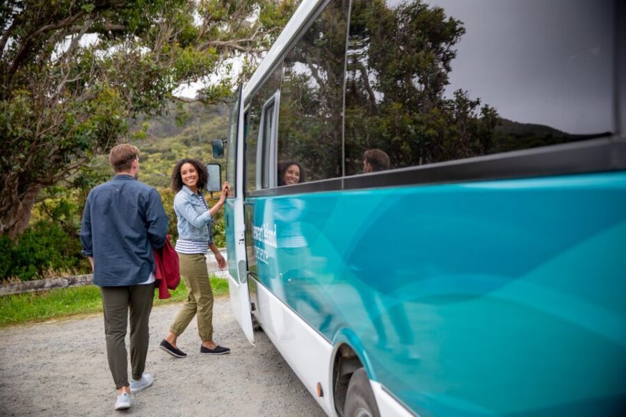 Stewart Island: Village and Bays Tour - What’s Included and What to Expect
