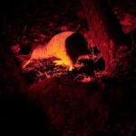 Stewart Island: Wild Kiwi Experiences - Who Is This Tour Best For?