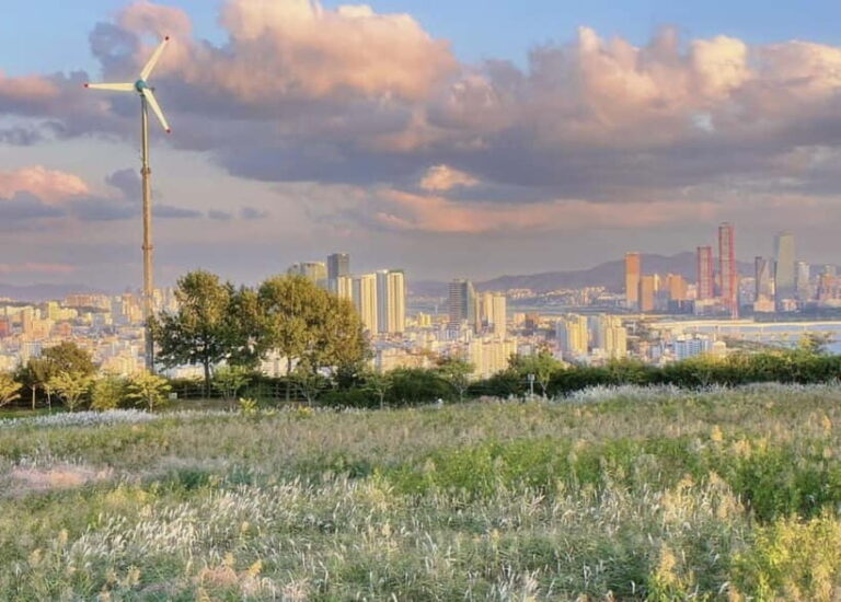 Strawberry & Mt.Gamaksan & Eunpyeong Hanok & Chorigol 164 - The Itinerary: A Closer Look