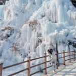 Strawberry Picking & Eobi Ice Valley Winter Tour +Sledding - Snow Sledding at Elysian Resort