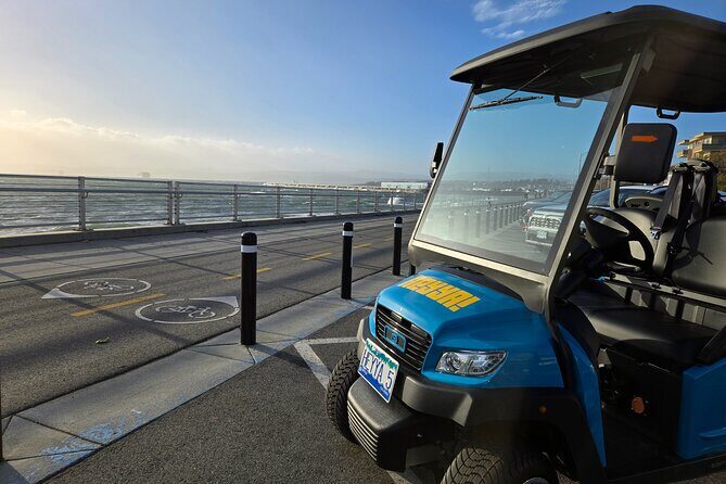 Street Legal Golf Cart Rentals in Victoria - Who Will Love This?