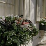 Stroll Historic South of Broad in Charlestons Walled City - The Sum Up