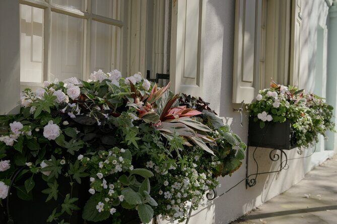 Stroll Historic South of Broad in Charlestons Walled City - The Sum Up