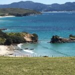 Stunning Auckland East Coast Walk & Wine Private Tour - Who Will Love This Tour?