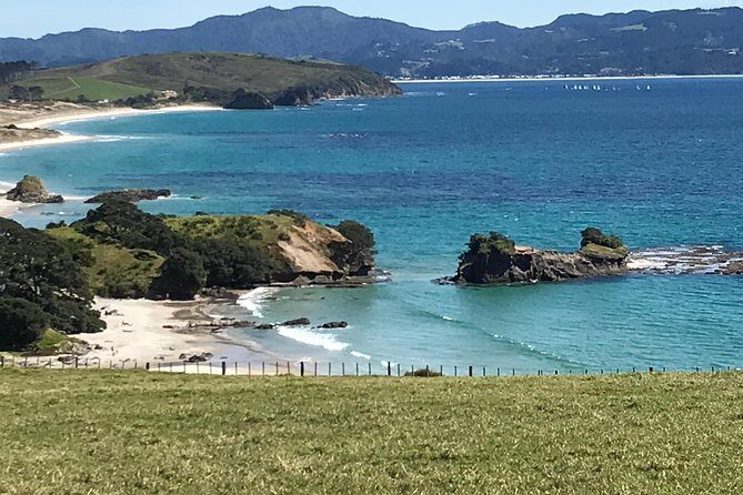 Stunning Auckland East Coast Walk & Wine Private Tour - Who Will Love This Tour?
